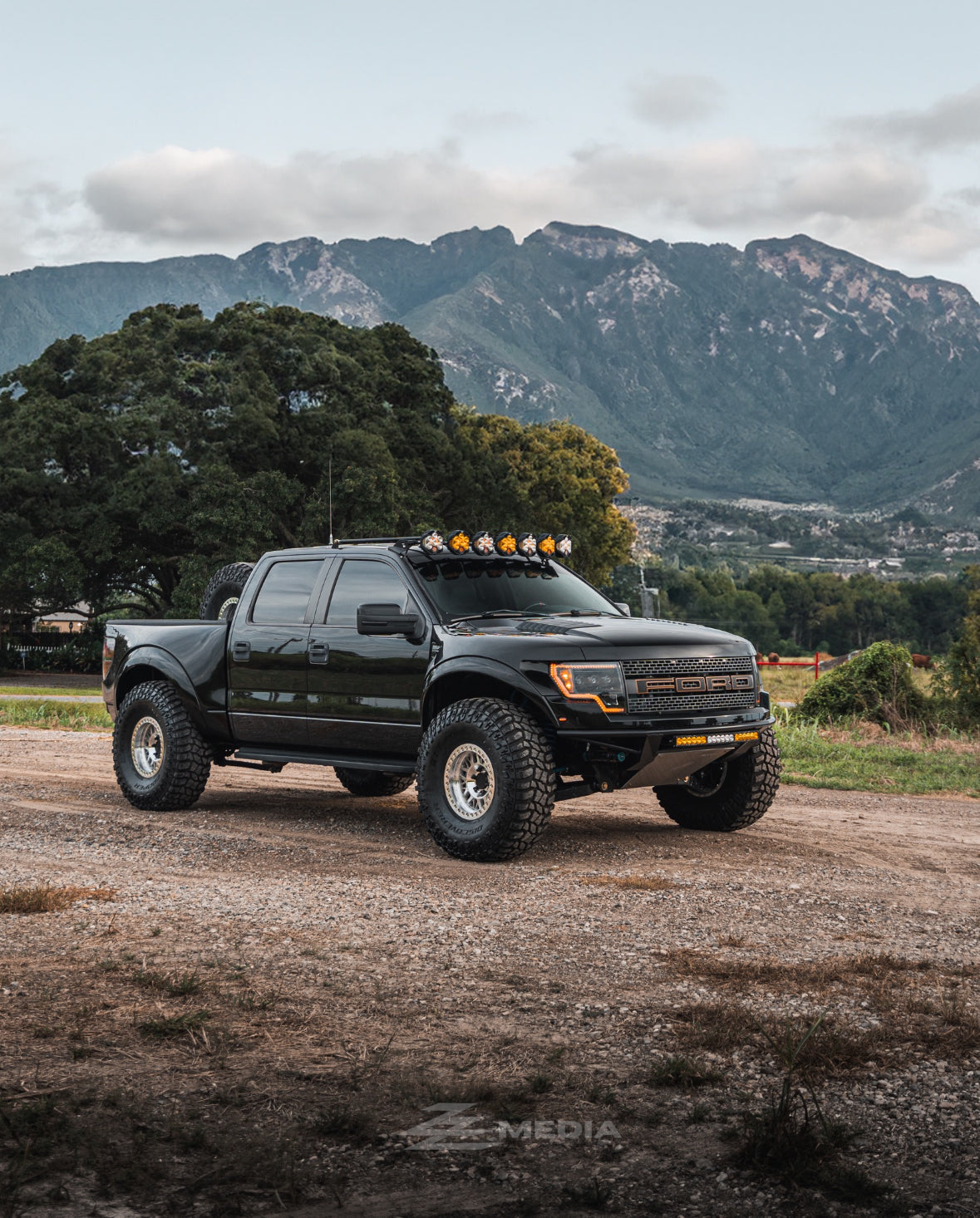 Gen 1 Raptor – Brown's Performance & Fabrication LLC
